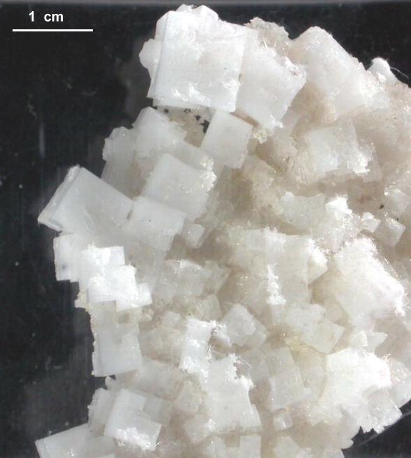 Ciência nos dias de hoje: Rochas sedimentares